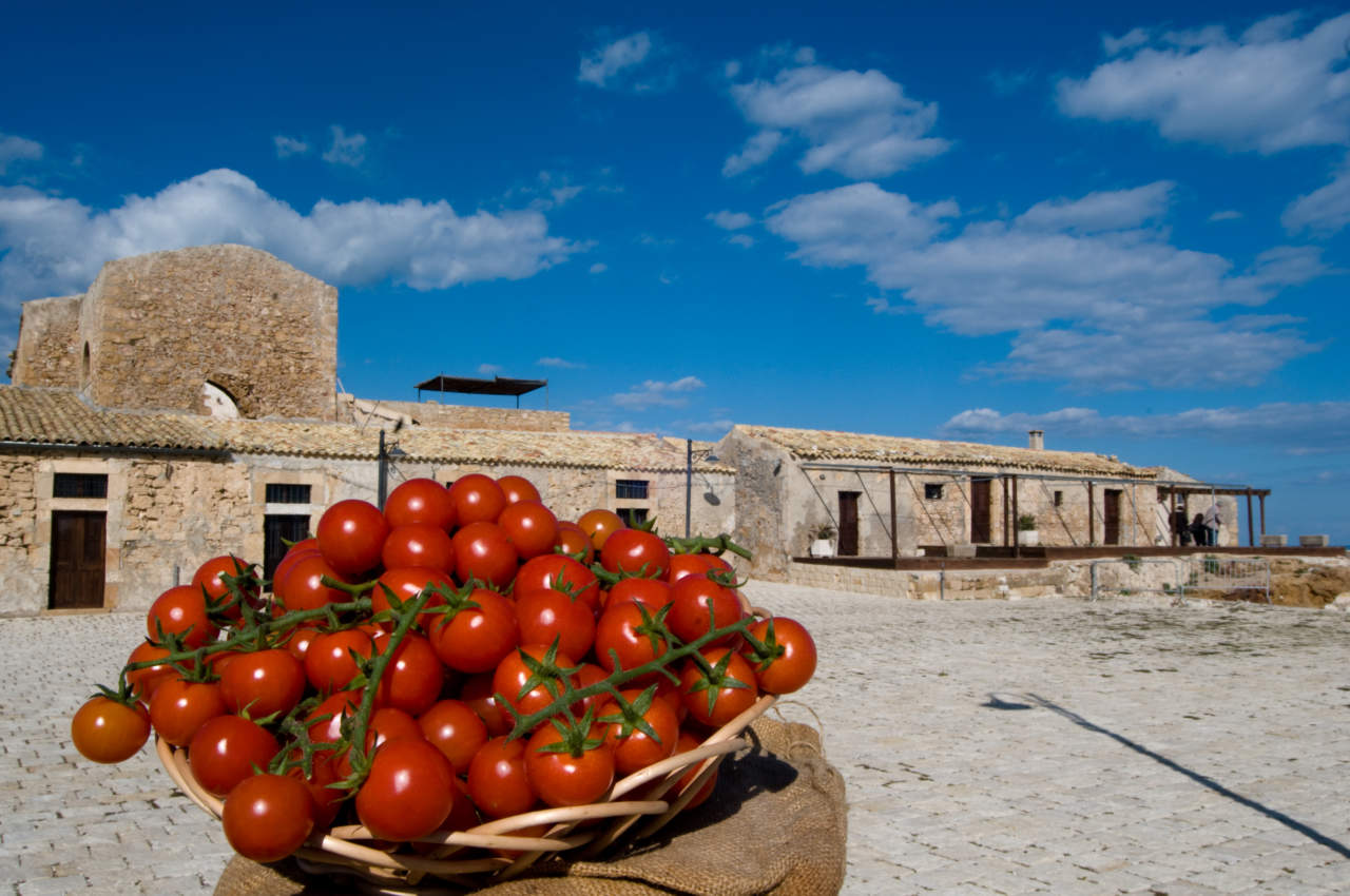 Pachino Tomato | Sicilian Blog | The real tastes of Sicily